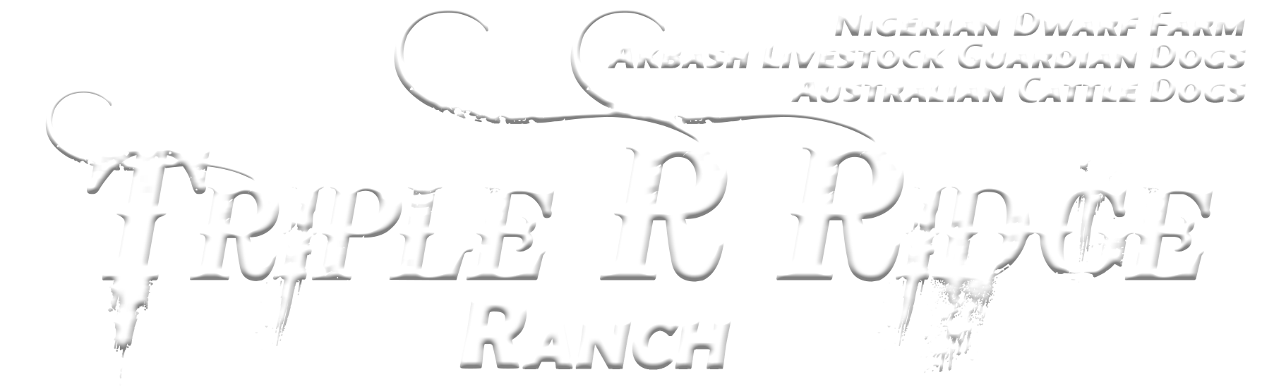 Triple R Ridge Ranch | Nigerian Dwarf Farm & Australian Cattle Dogs ...